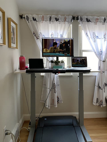Fitness Equipment for Home & Work | LifeSpan Fitness – LifeSpanFitness
