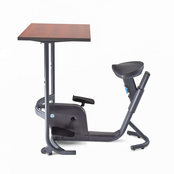 Stationary Bicycle Desk | Desk Bike Peddler | LifeSpan Unity ...