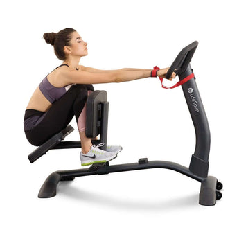 SP1000 Pro Stretch Partner | LifeSpan Fitness – LifeSpanFitness