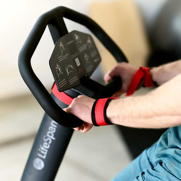 SP1000 Pro Stretch Partner | LifeSpan Fitness – LifeSpanFitness